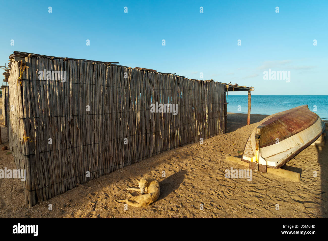 Early morning view of a beach shack with a canoe and a dog and the ...