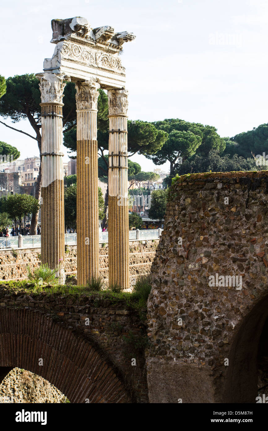 Columns of the Temple of Venus Genetrix at the Forum of Caesar (Foro di ...