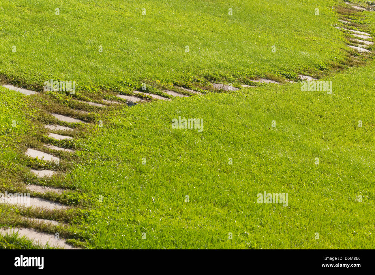 Walking stone path nature hi-res stock photography and images - Alamy