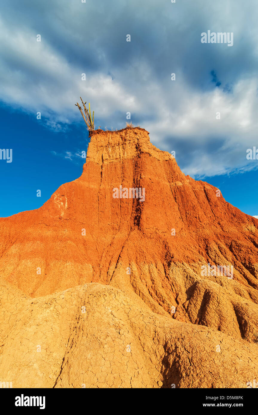 A cactus sitting atop of a red desert column Stock Photo - Alamy