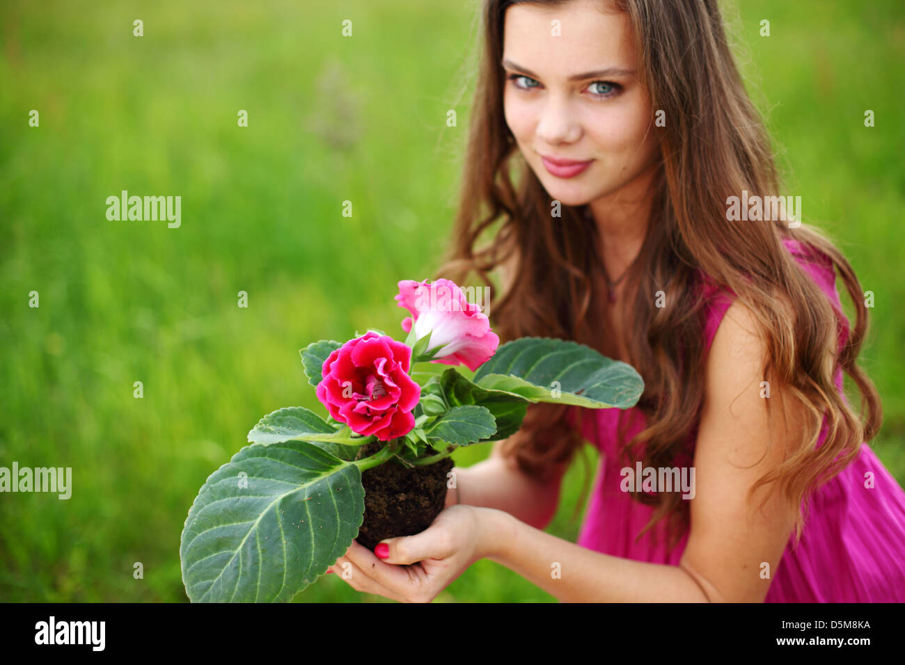 flower in woman hands close up Stock Photo - Alamy
