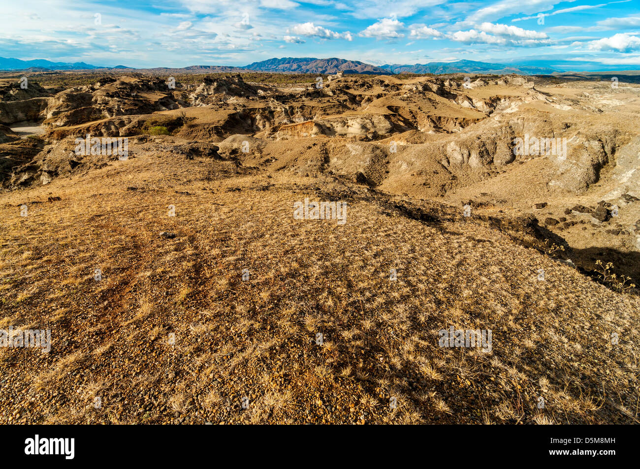 Dry desolate view of a remote isolated desert Stock Photo - Alamy
