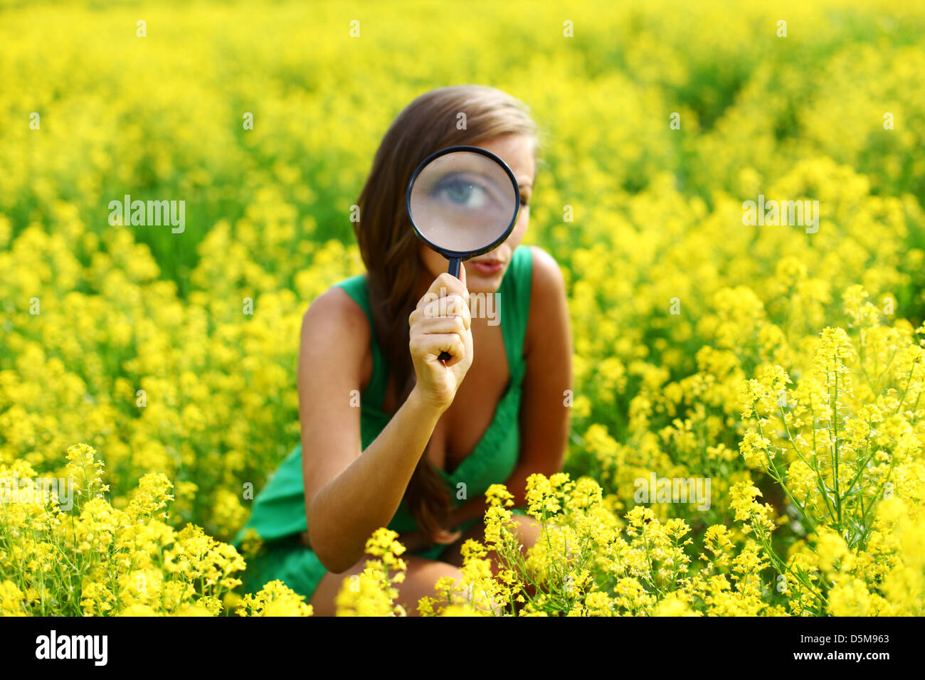 botanist woman in yellow flower field Stock Photo - Alamy