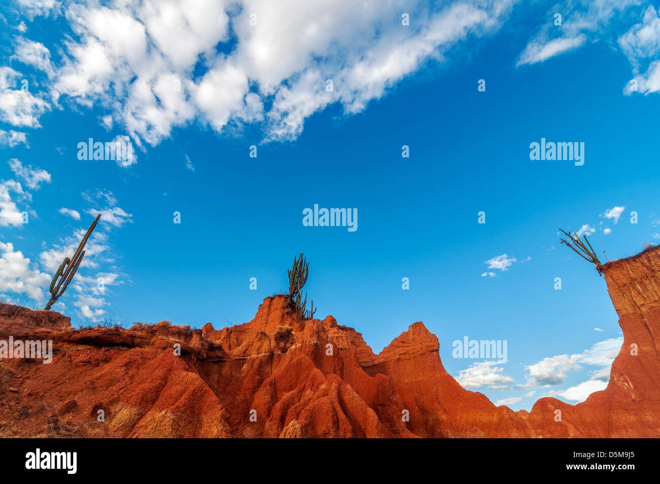 Wide view of red desert landscape with cactus and blue sky in Colombia ...