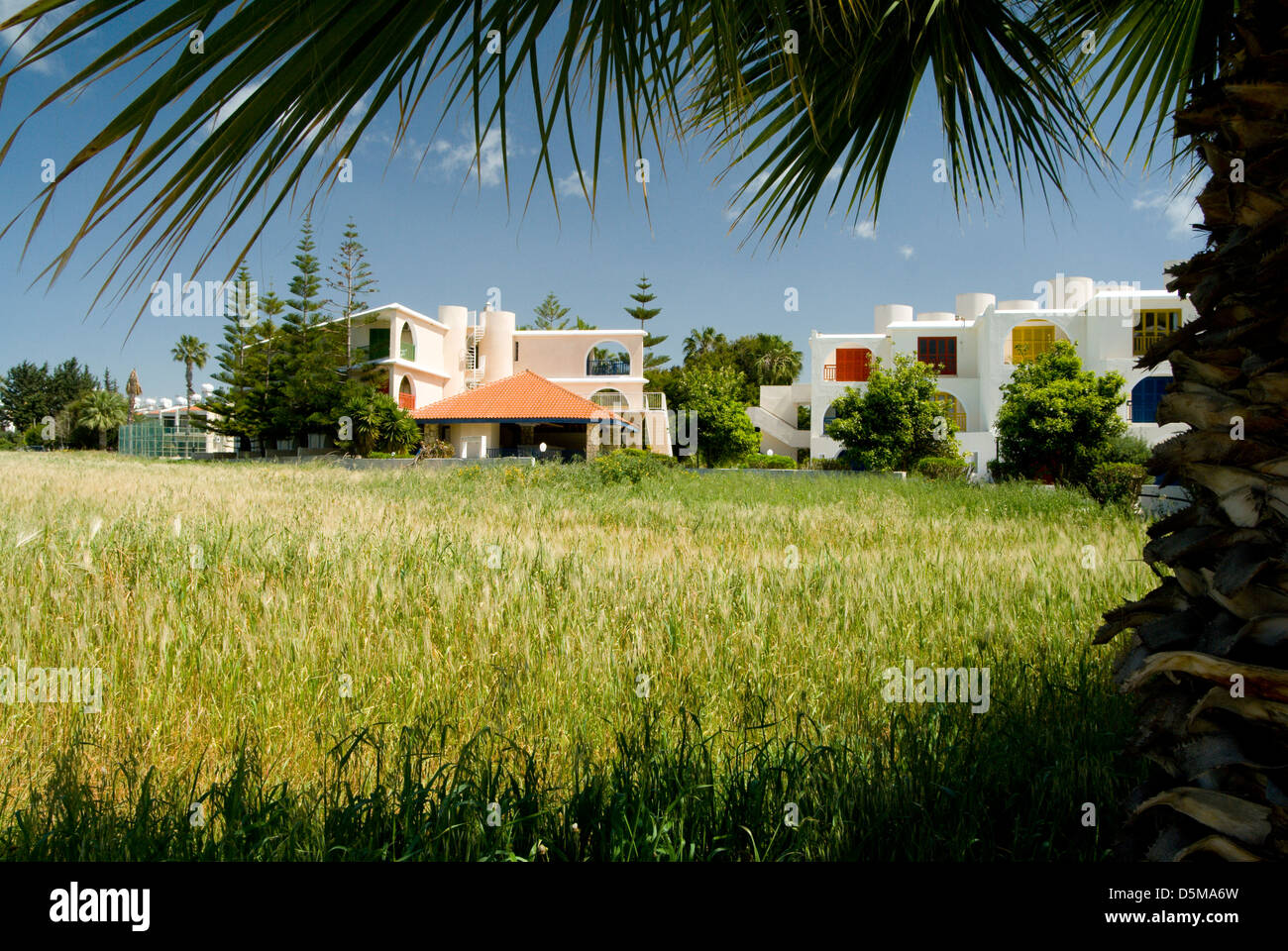 holiday complexe and wheat field, paphos, cyprus Stock Photo - Alamy