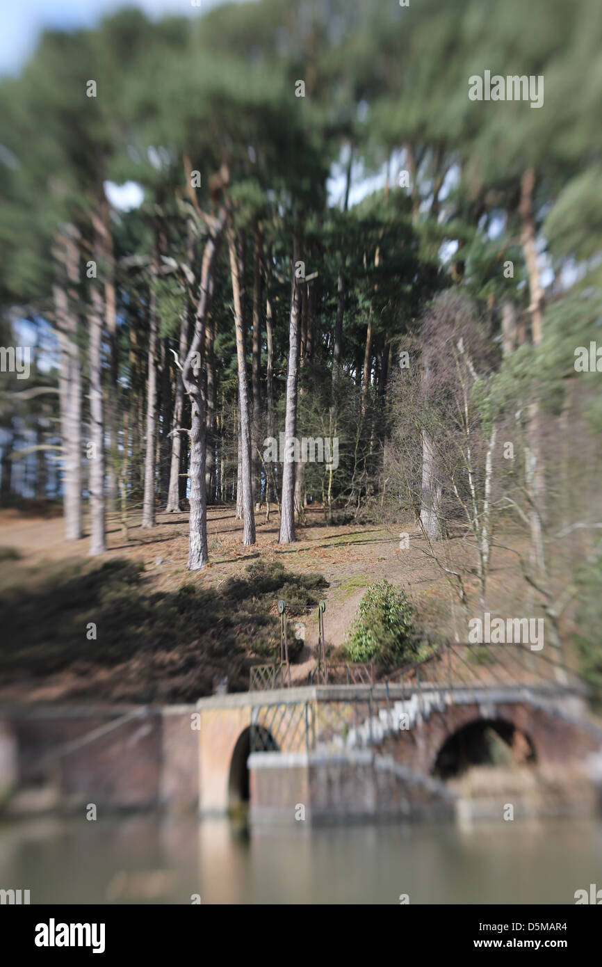 Rushmere hi-res stock photography and images - Alamy