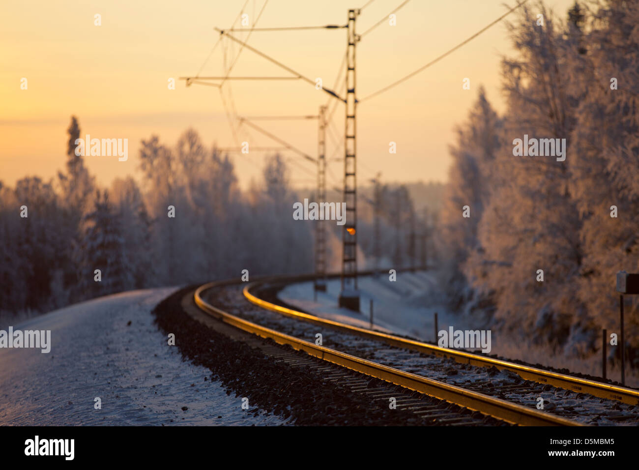 Railroad rails at evening light , Finland Stock Photo - Alamy