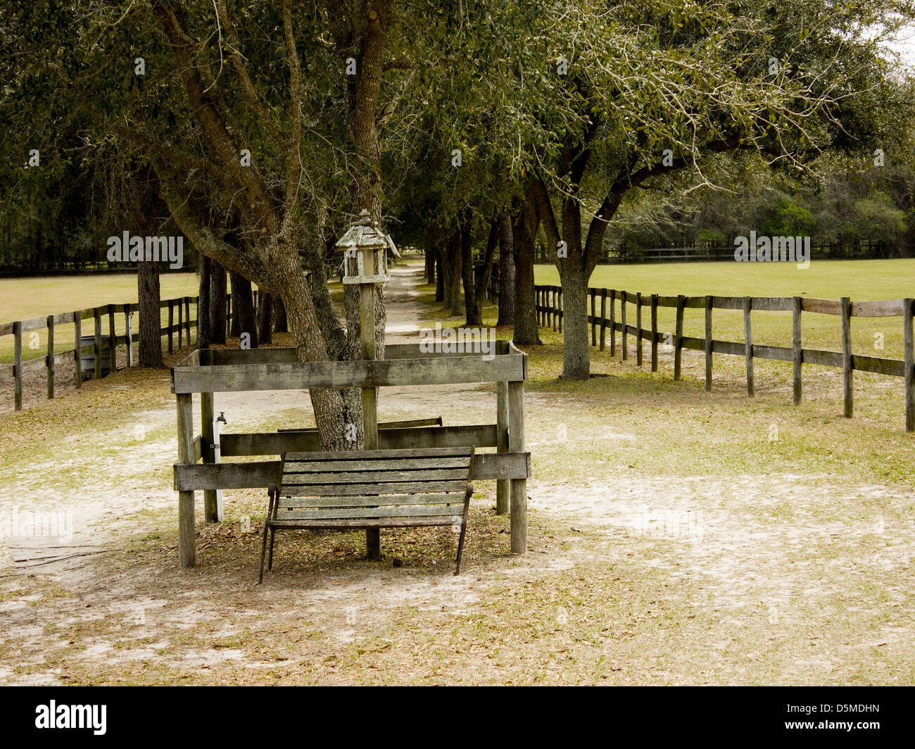 a bench on a farm path Stock Photo - Alamy