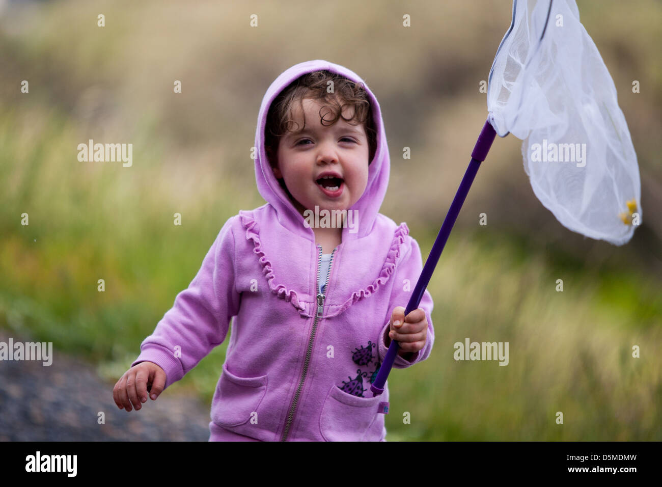 A child playfully catches bugs with her bug net Stock Photo - Alamy
