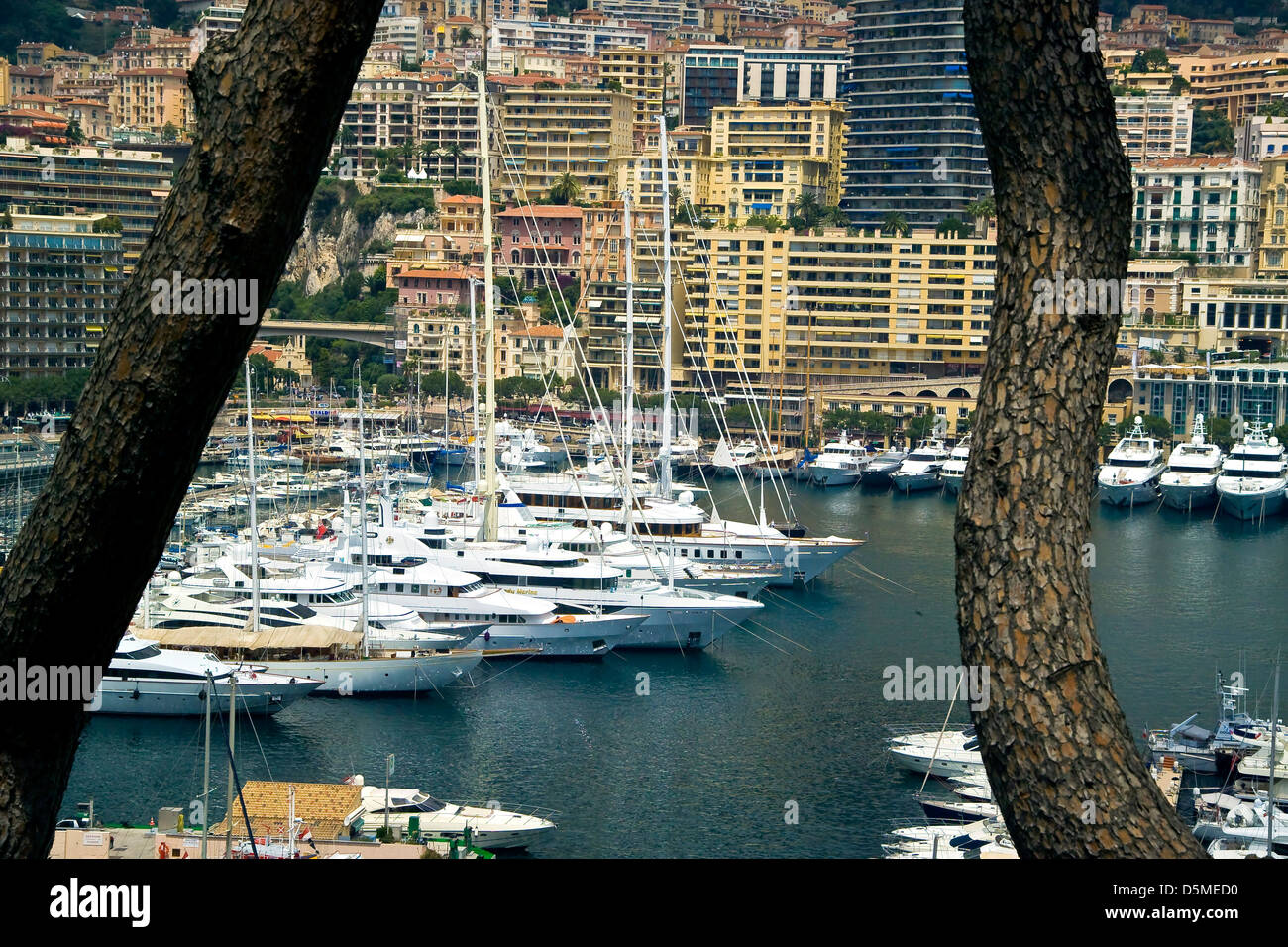 Monaco harbor docked ships Stock Photo - Alamy