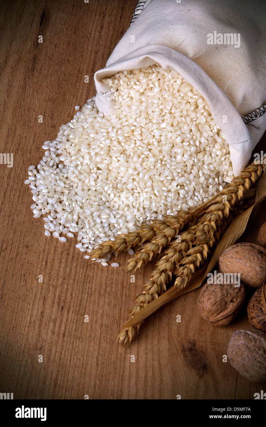 Rice ears and grains hi-res stock photography and images - Alamy