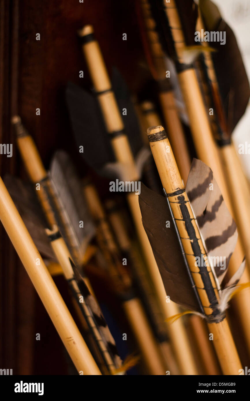 Waimiri Atroari indian local handcraft art at Novo Airão, Amazonas ...