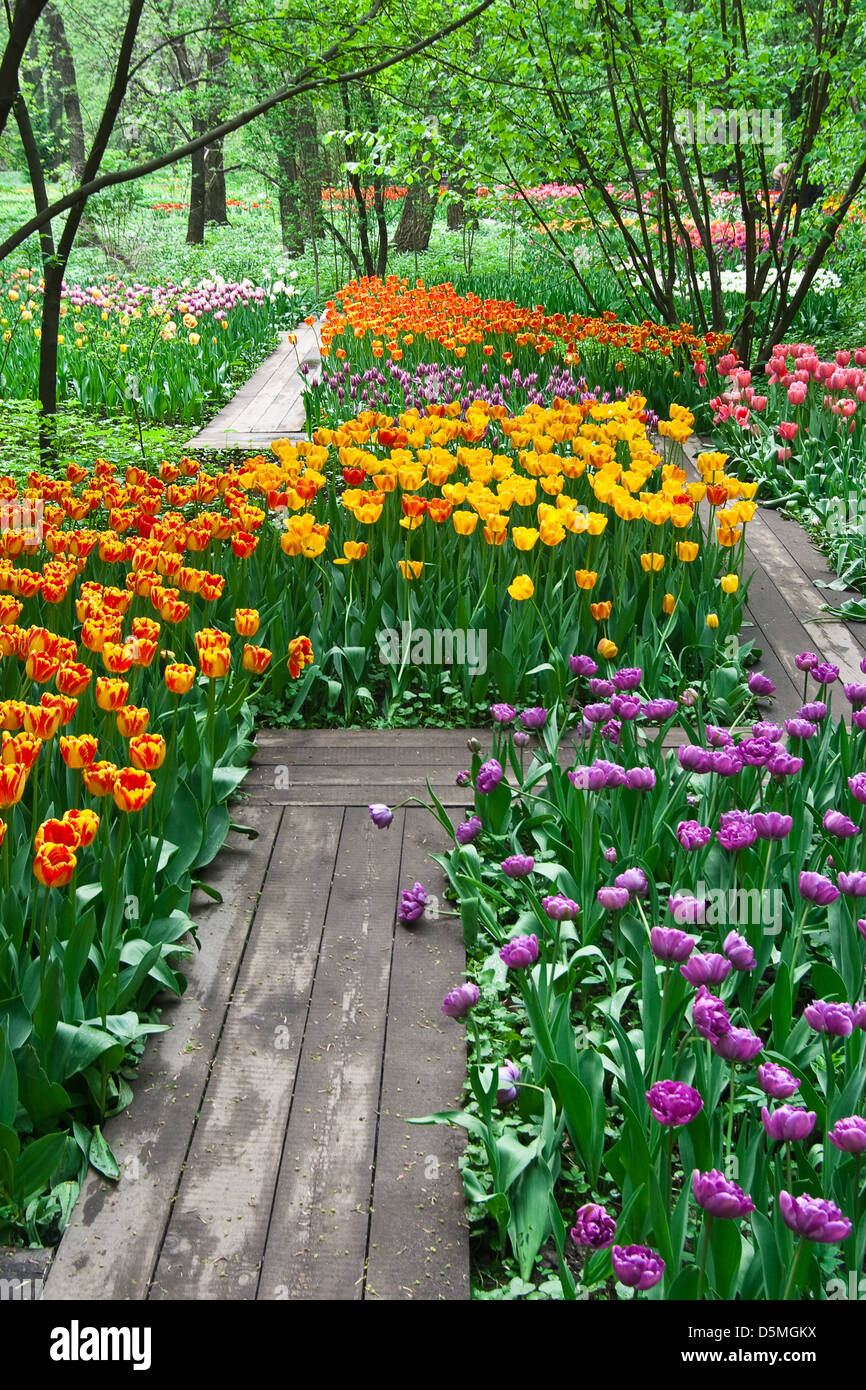 Wooden path in botanical garden Stock Photo - Alamy