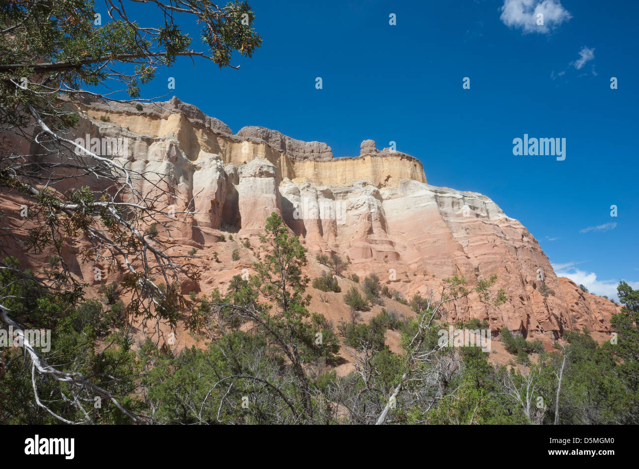 Carson national forest hi-res stock photography and images - Alamy