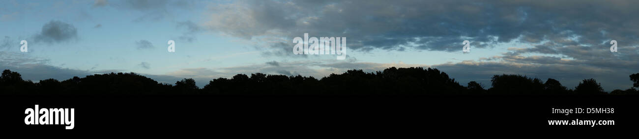sky nimbus ice clouds trees forest hastings sunset Stock Photo - Alamy
