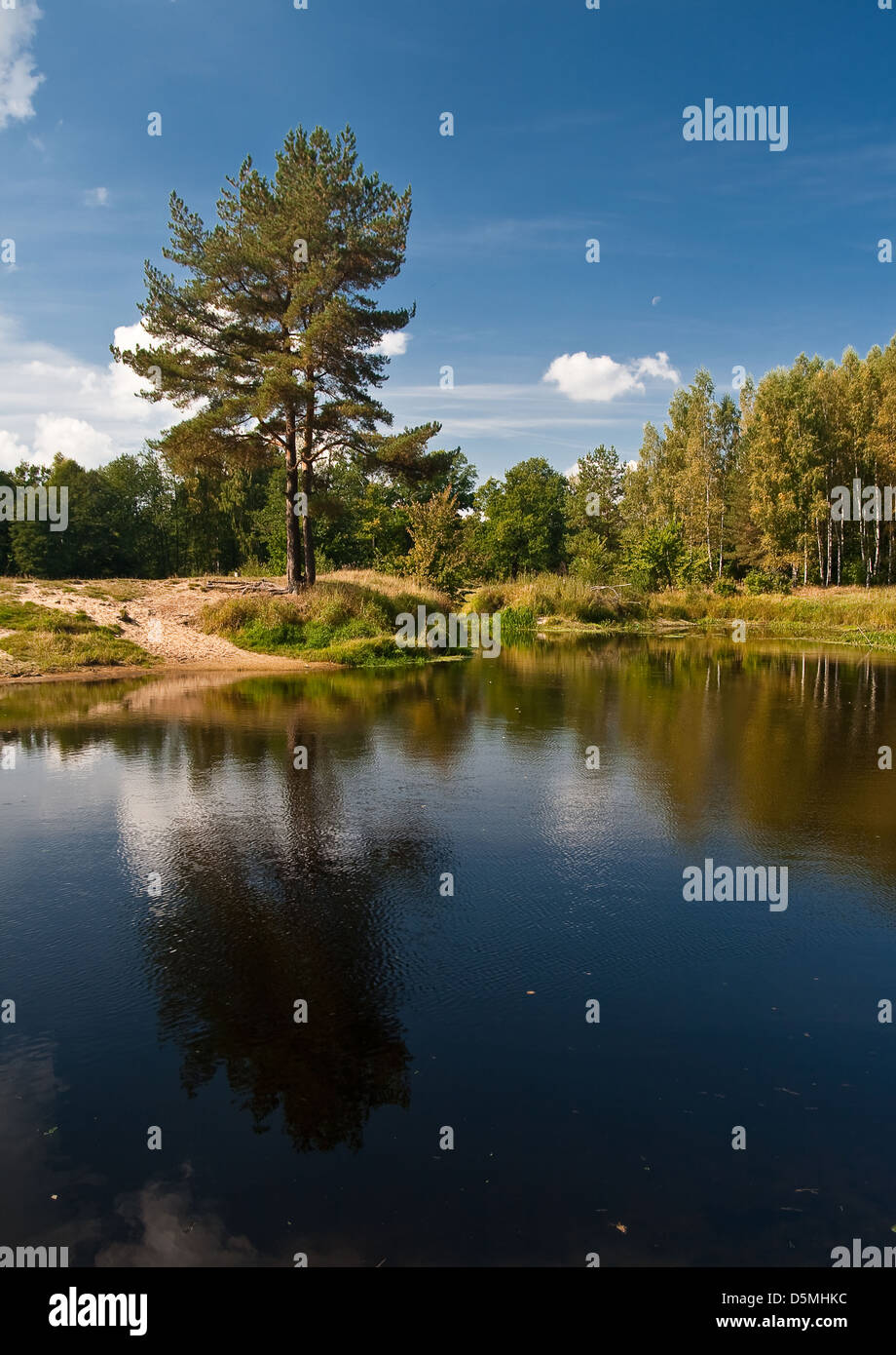 Clear water pine trees hi-res stock photography and images - Alamy