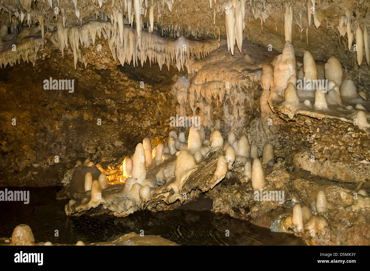 Limestone stalactites and stalagmites in Harrison's Cave, Barbados ...