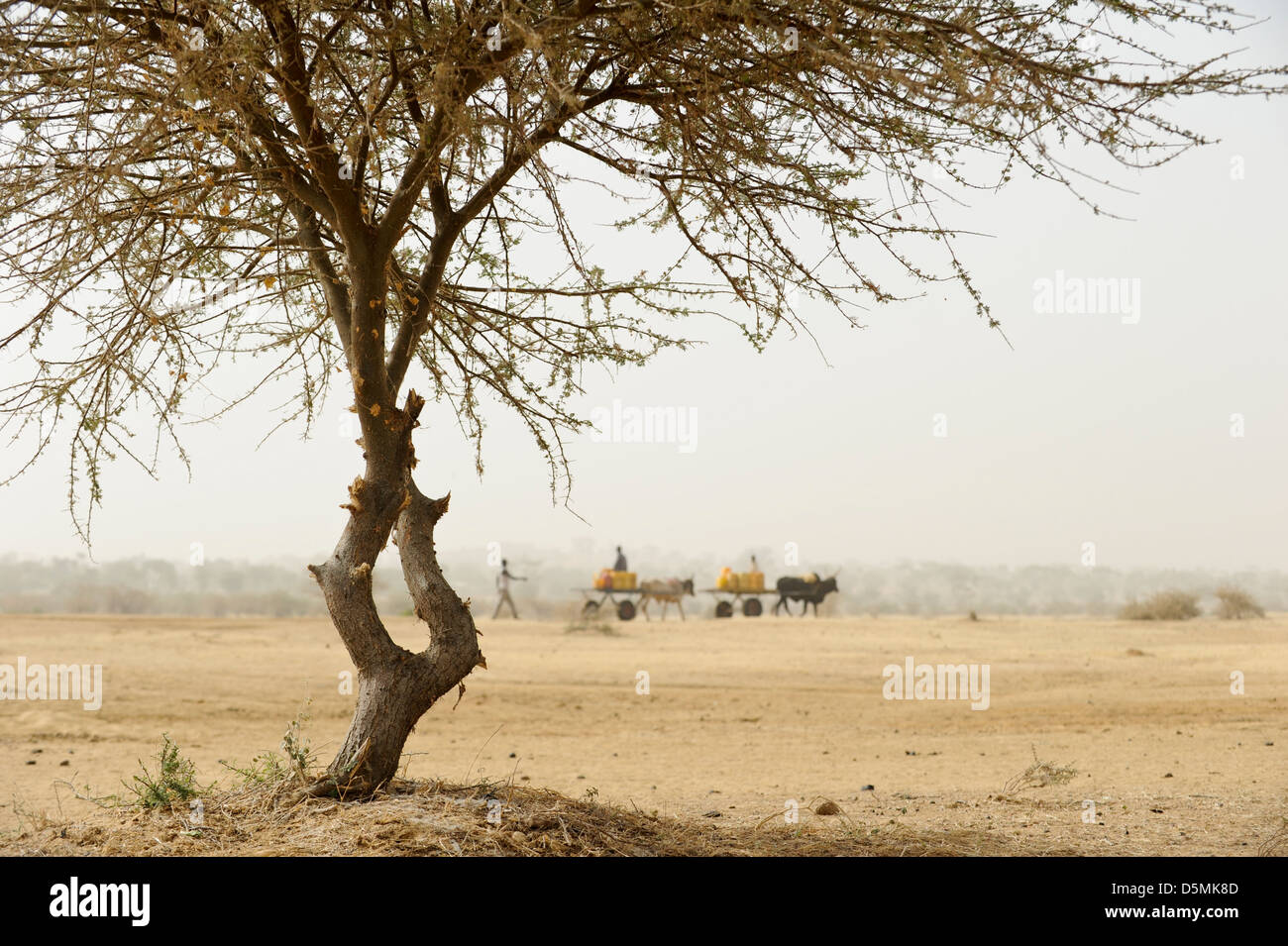 Niger drought farming hi-res stock photography and images - Alamy