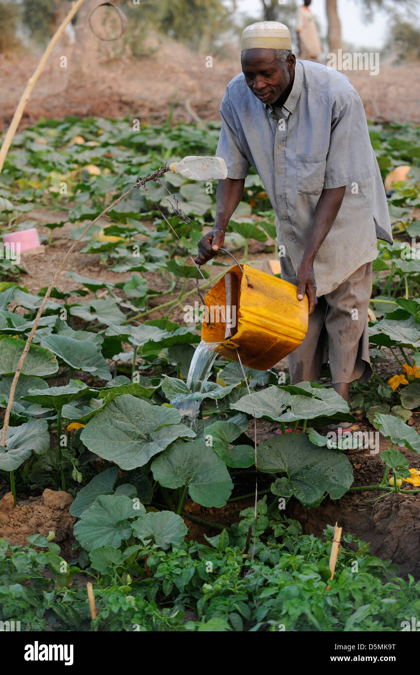 Niger drought farmer hi-res stock photography and images - Alamy