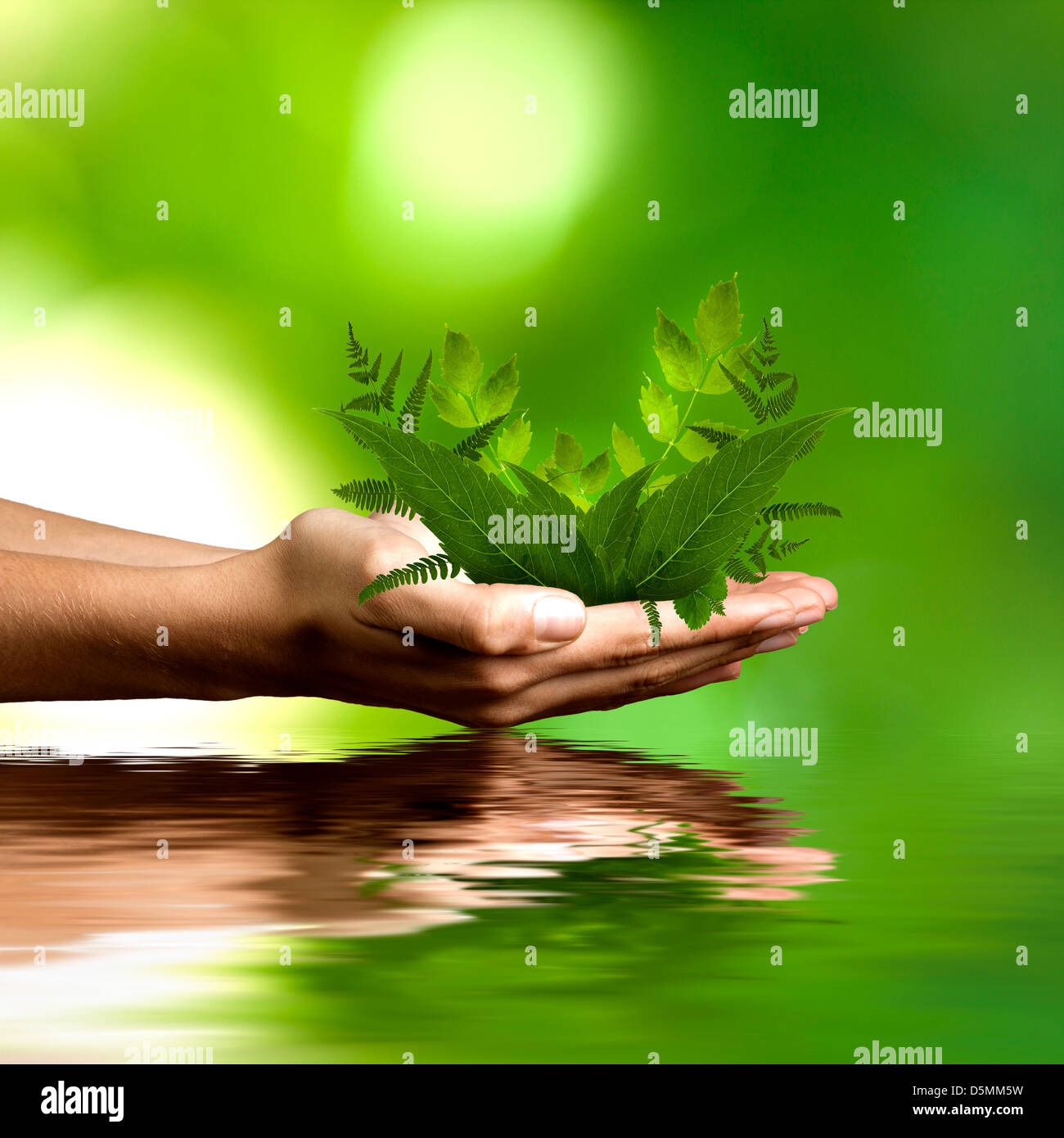 human hands with natural plants Stock Photo - Alamy