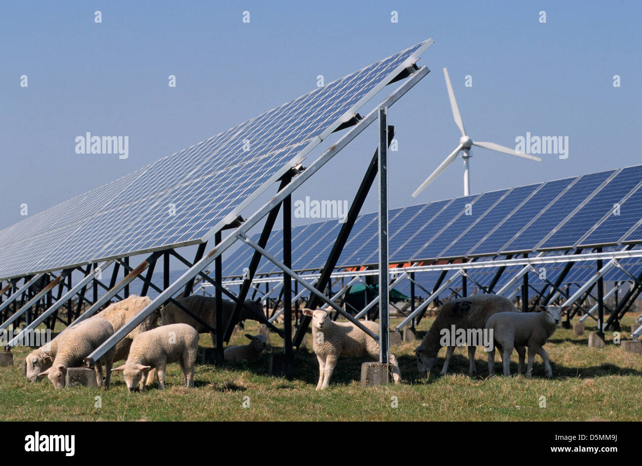 Solar photovoltaic eon hi-res stock photography and images - Alamy