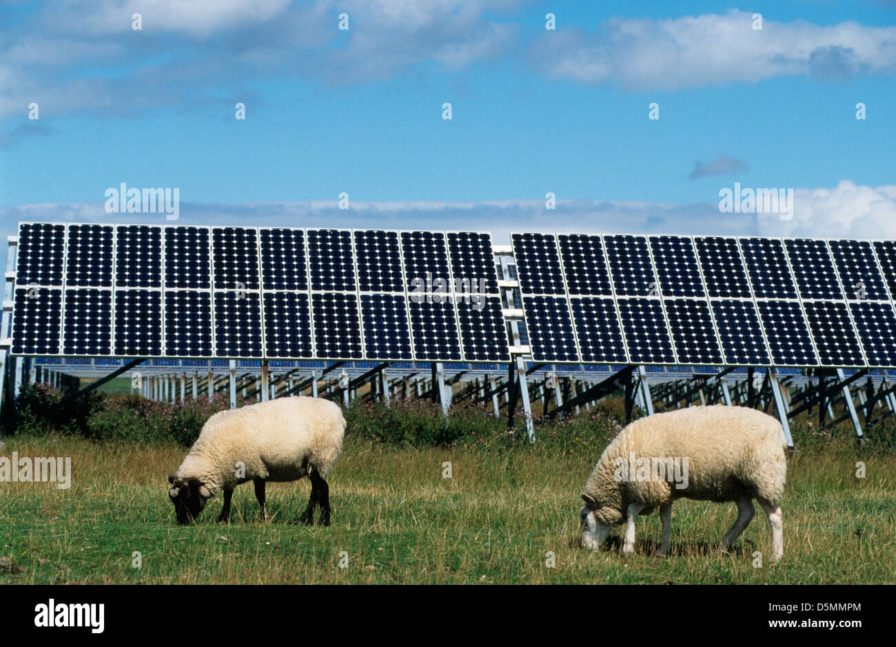 Eon germany grid hi-res stock photography and images - Alamy