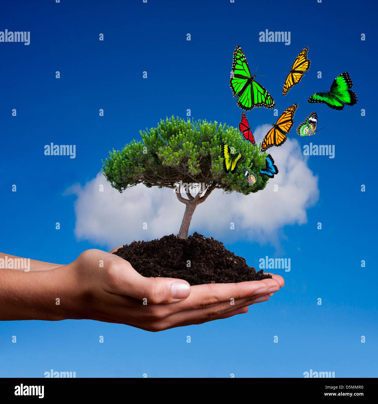 concept of ecology and sustainable development Stock Photo - Alamy