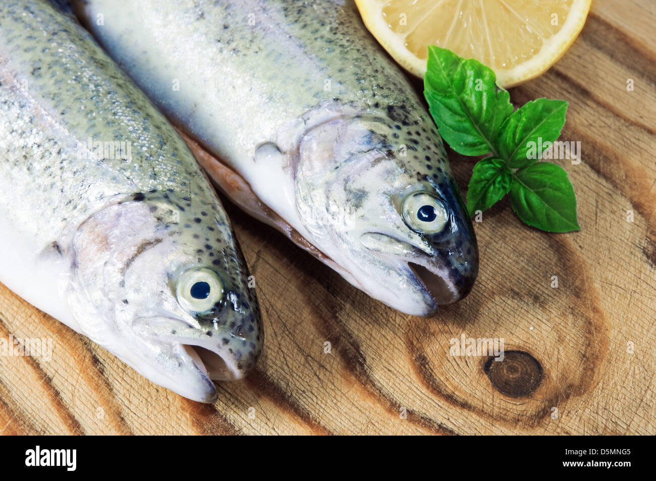 Trout hi-res stock photography and images - Alamy
