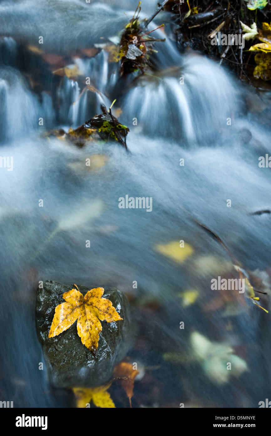 Brook river hi-res stock photography and images - Alamy