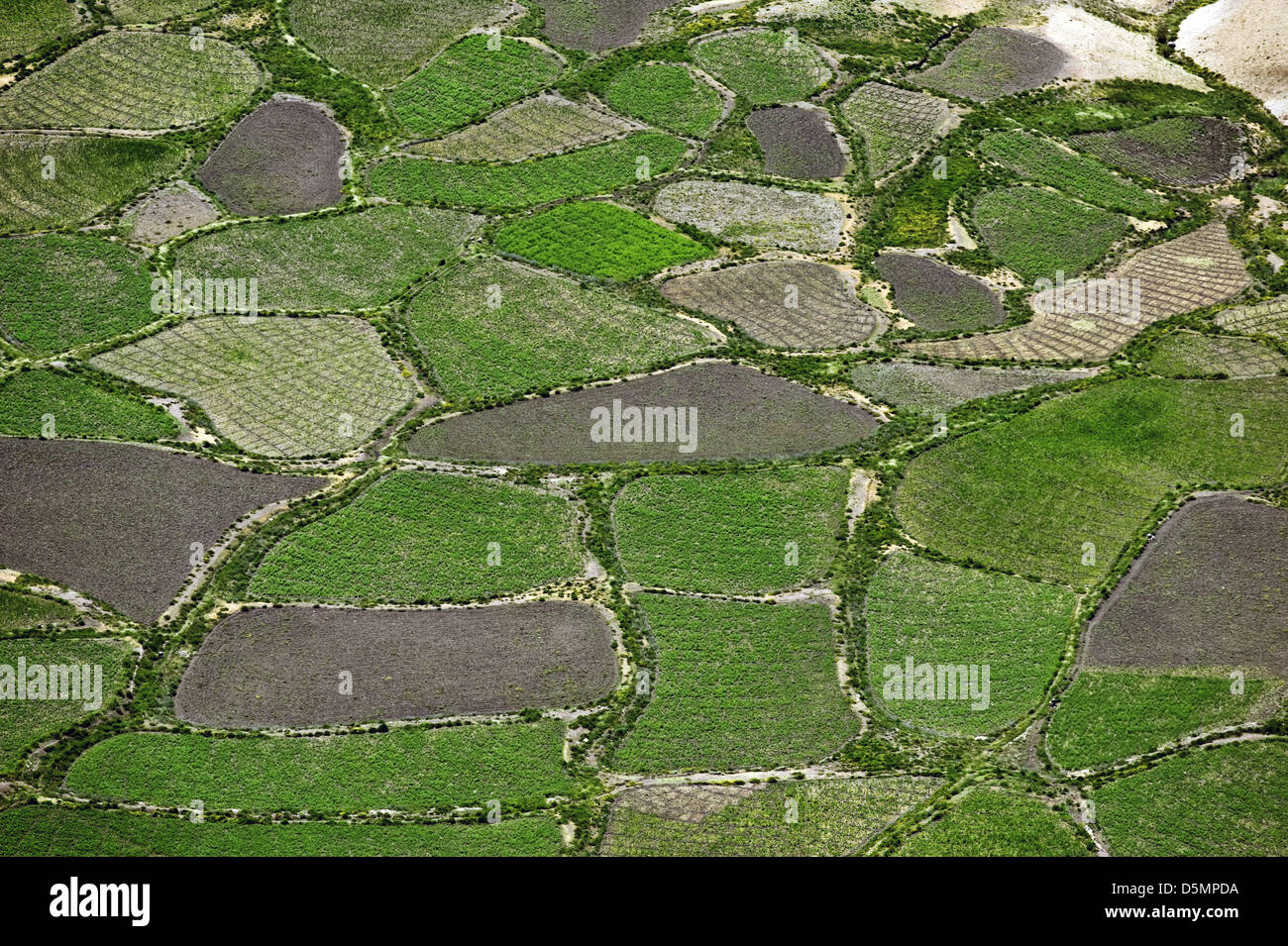 green field, view from above Stock Photo - Alamy