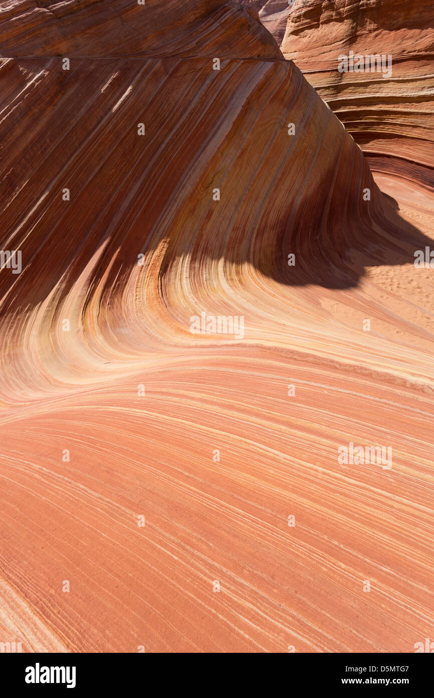 Closeup / abstract view of the iconic Wave - colorful sandstone rock ...