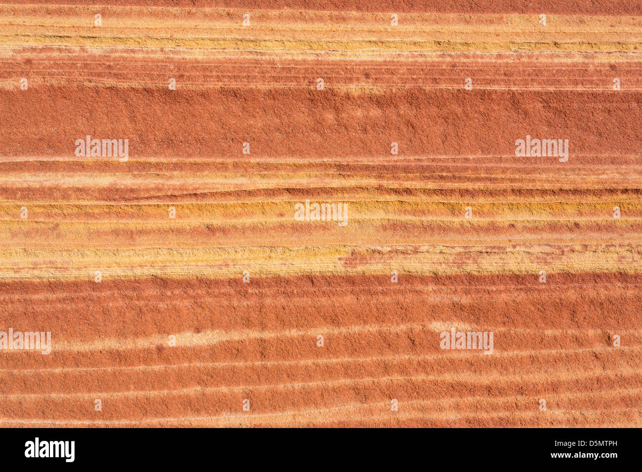 Closeup / abstract view of the iconic Wave - colorful sandstone rock ...