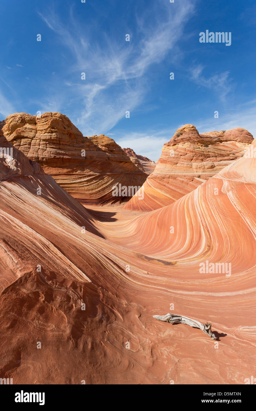The Wave - colorful sandstone rock formation located in the United ...