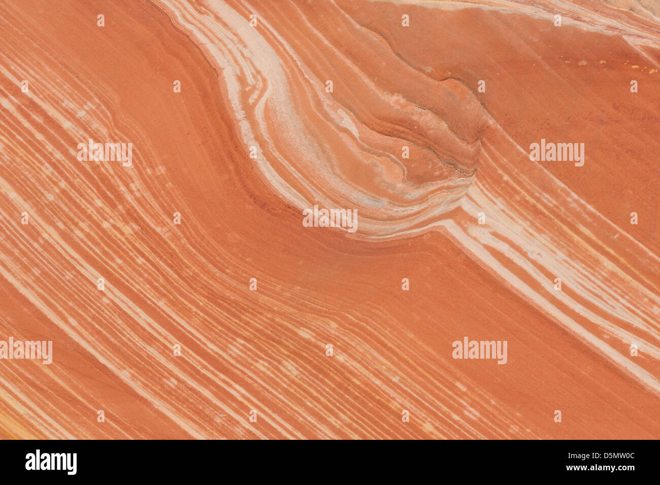 Closeup / abstract view of the iconic Wave - colorful sandstone rock ...
