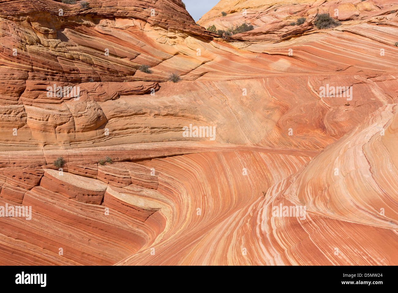 The Wave - colorful sandstone rock formation located in the United ...
