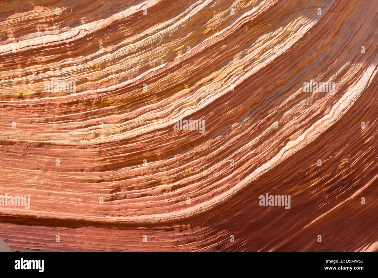 Closeup / abstract view of the iconic Wave - colorful sandstone rock ...