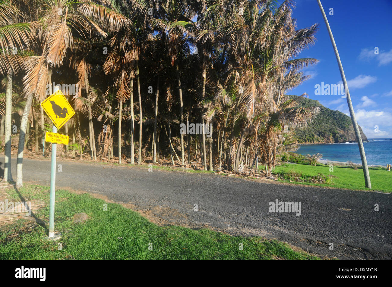 Road to Ned's Beach with muttonbirds crossing sign, Lord Howe Island ...