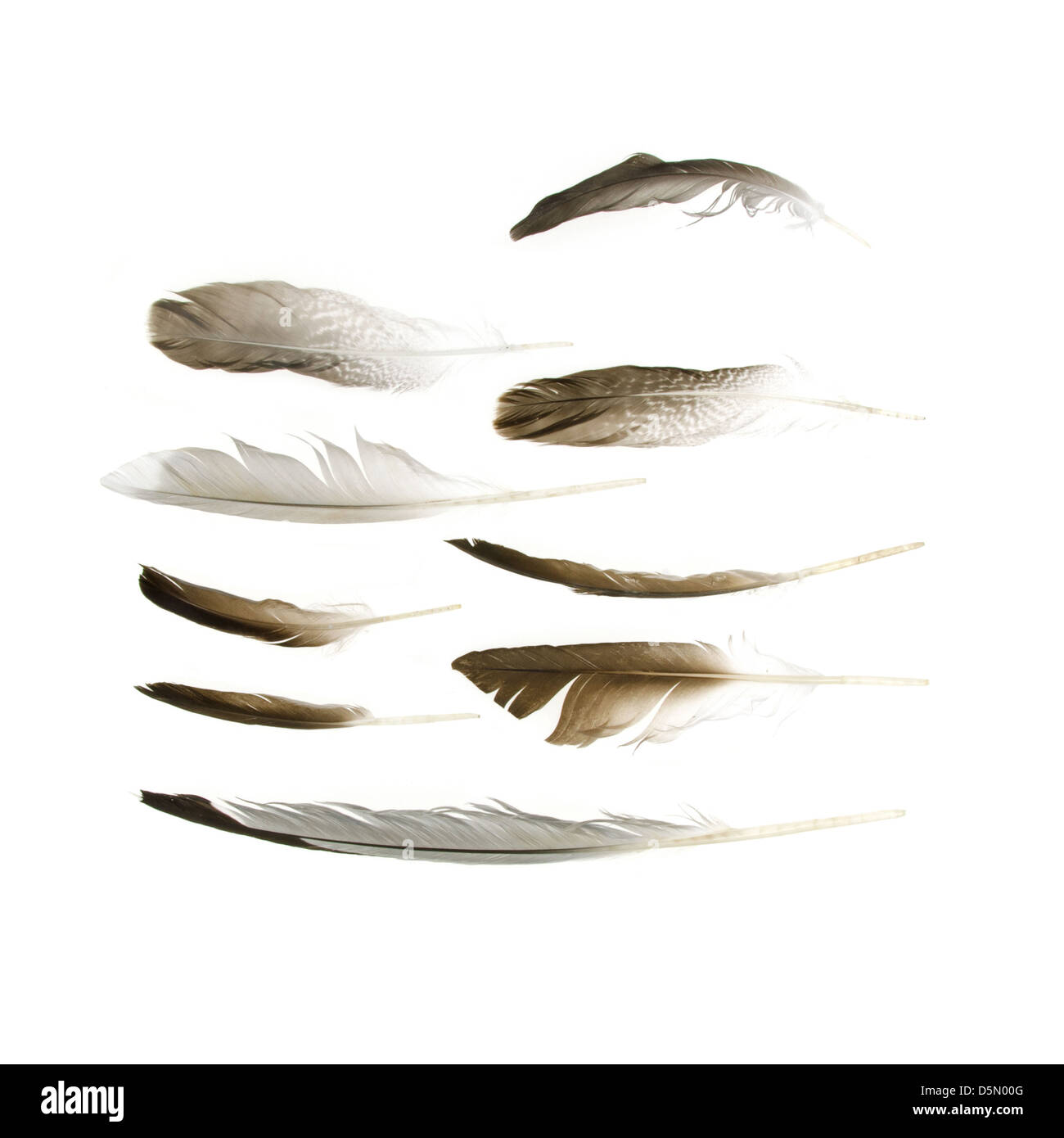 Desert beaches Cut Out Stock Images & Pictures - Alamy