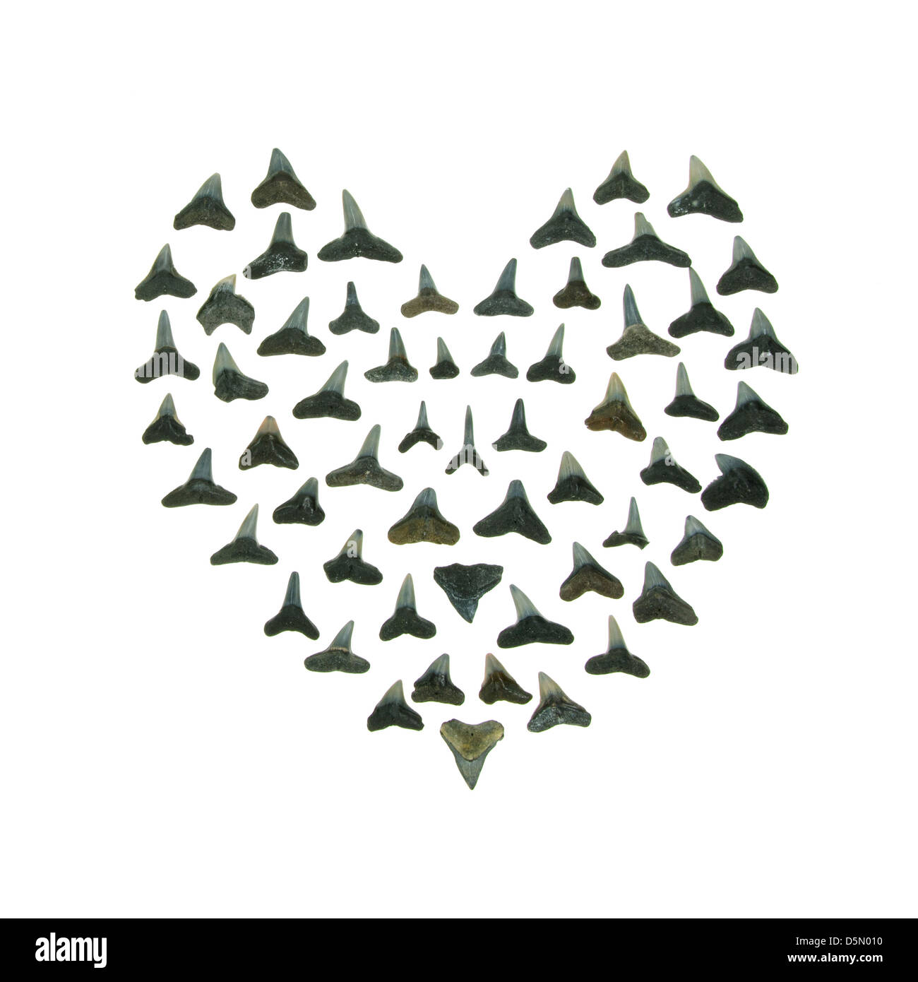 A heart formed from sharks' teeth - a punk remake of the traditional ...