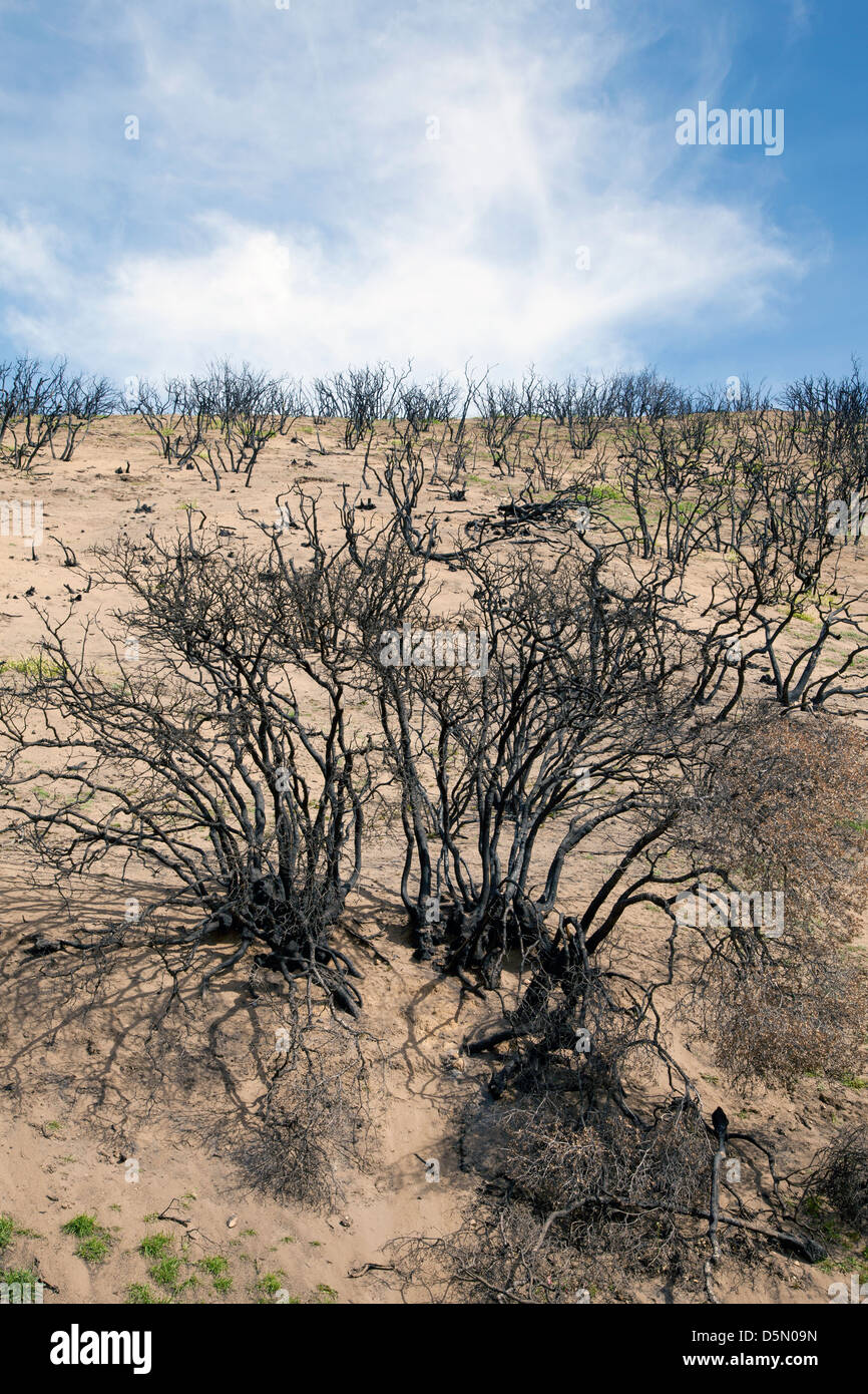 Danger from fire hi-res stock photography and images - Alamy