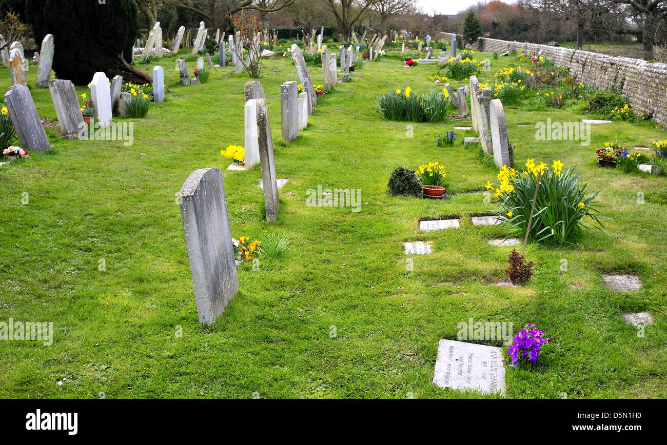 Daffodils in cemetery hi-res stock photography and images - Alamy
