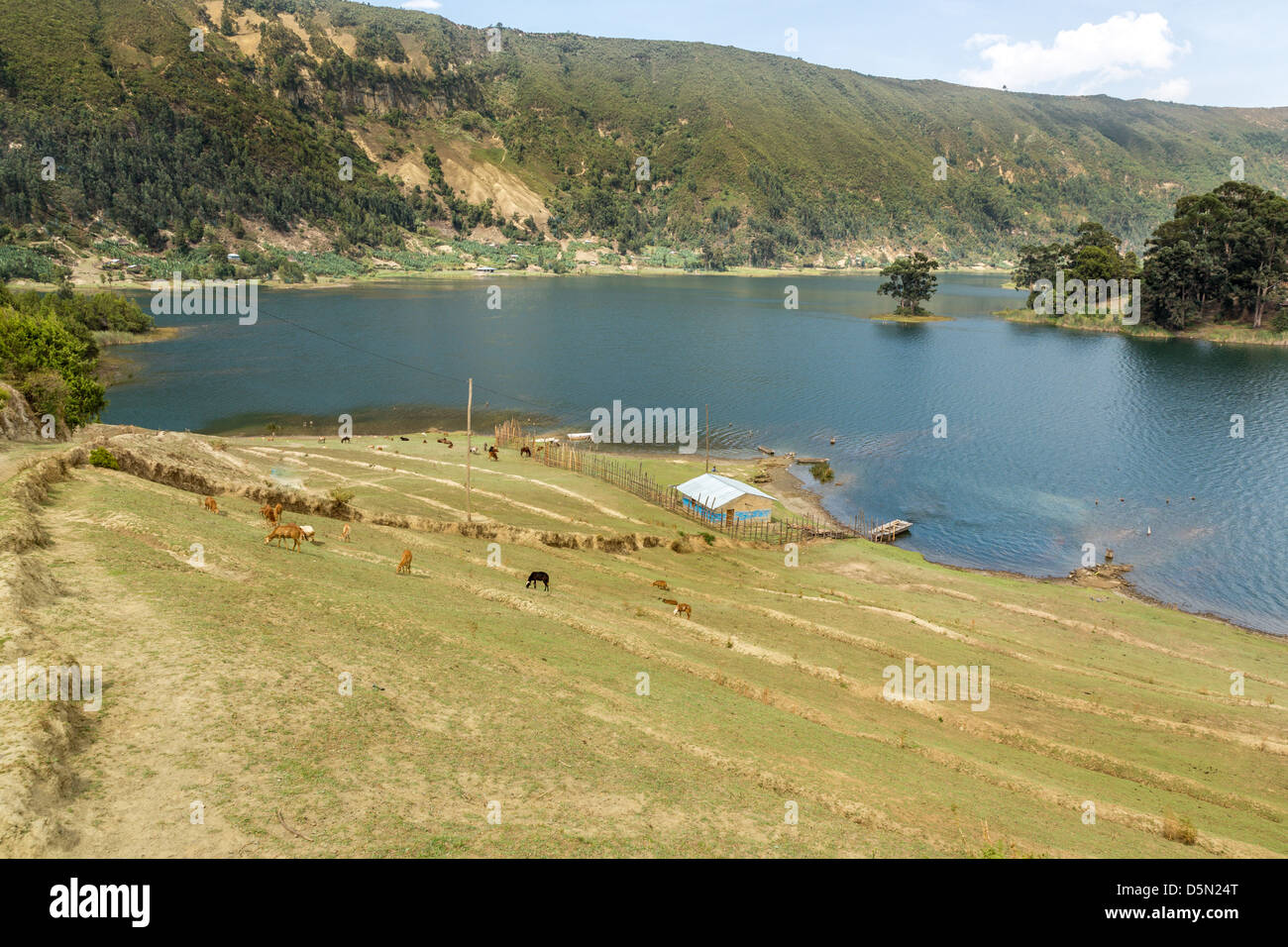 Beautiful Wonchi crater lake situated in Oromia Regional state in South ...