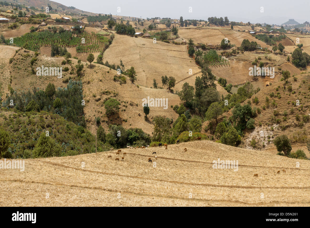 The hilly landscapes of Ethiopia near Wonchi creator lake area Stock ...