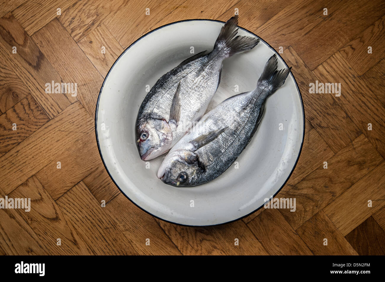 two fish on bowl Stock Photo - Alamy