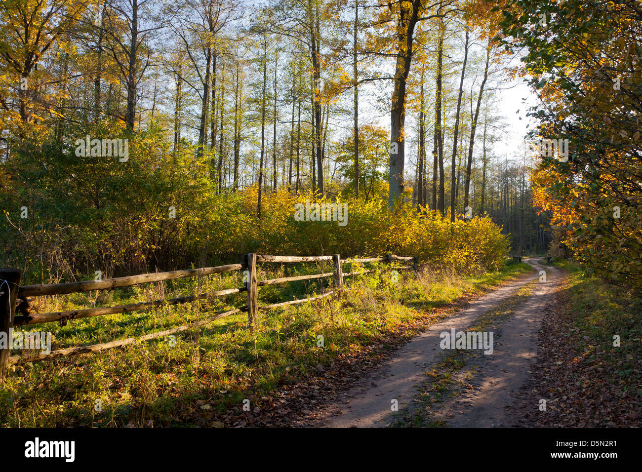 Fence road hi-res stock photography and images - Alamy