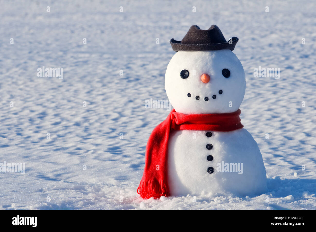 snowman look in sky and wait spring Stock Photo - Alamy