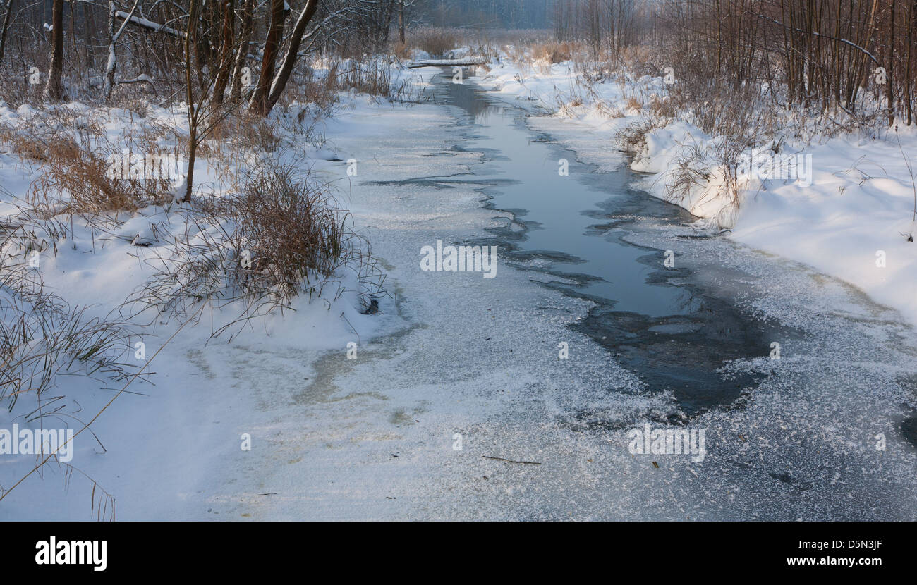 Snowy partly frozen river in morning crossing riparian stand Stock ...
