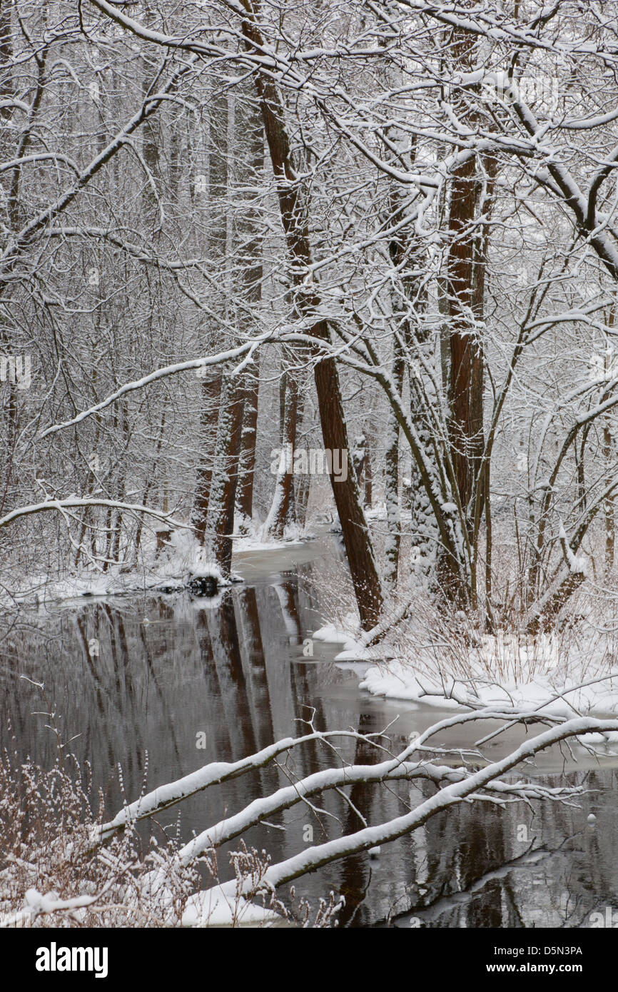 Alder tree river hi-res stock photography and images - Alamy