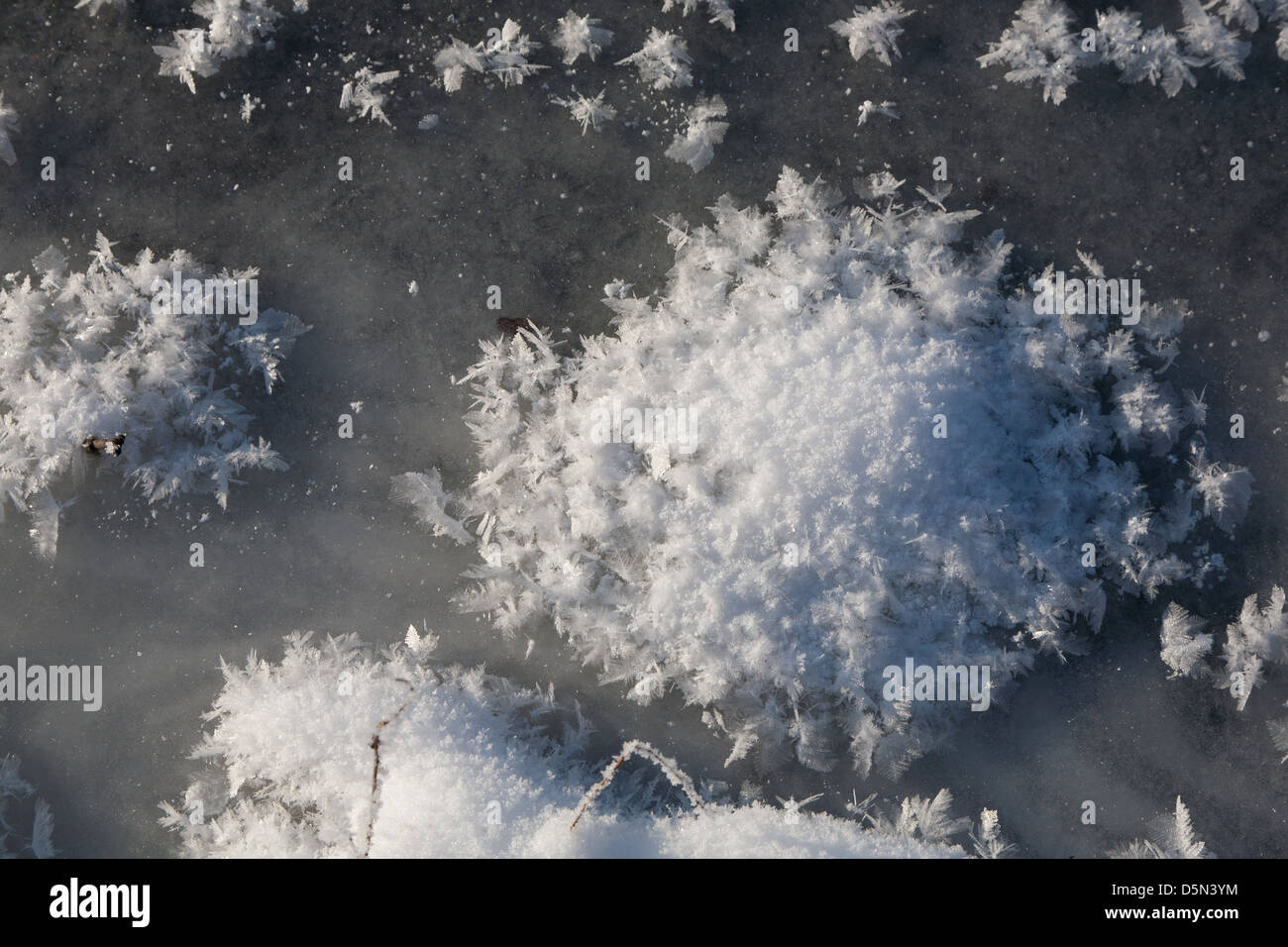 Iced water surface with bunches of frosted snow crystal like Stock ...