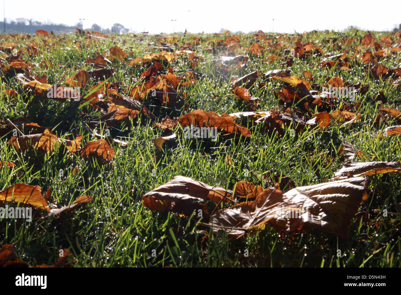 Unusual view angle hi-res stock photography and images - Alamy